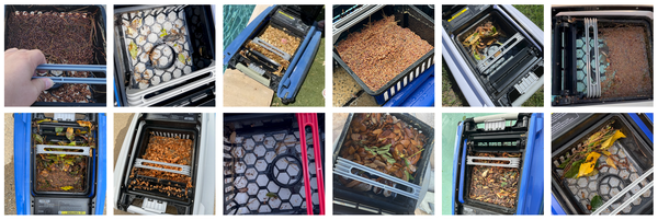 Betta - The Most Reliable and Durable Pool-Cleaning Robots